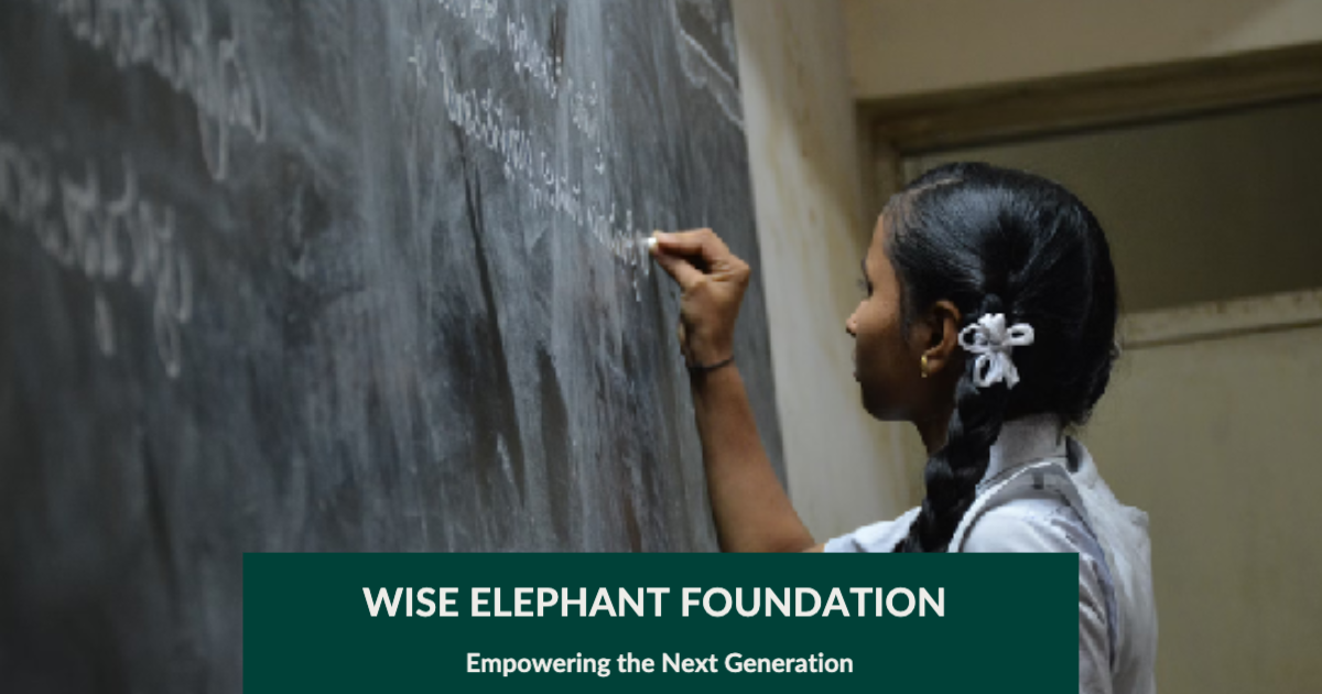 Wise Elephant Foundation